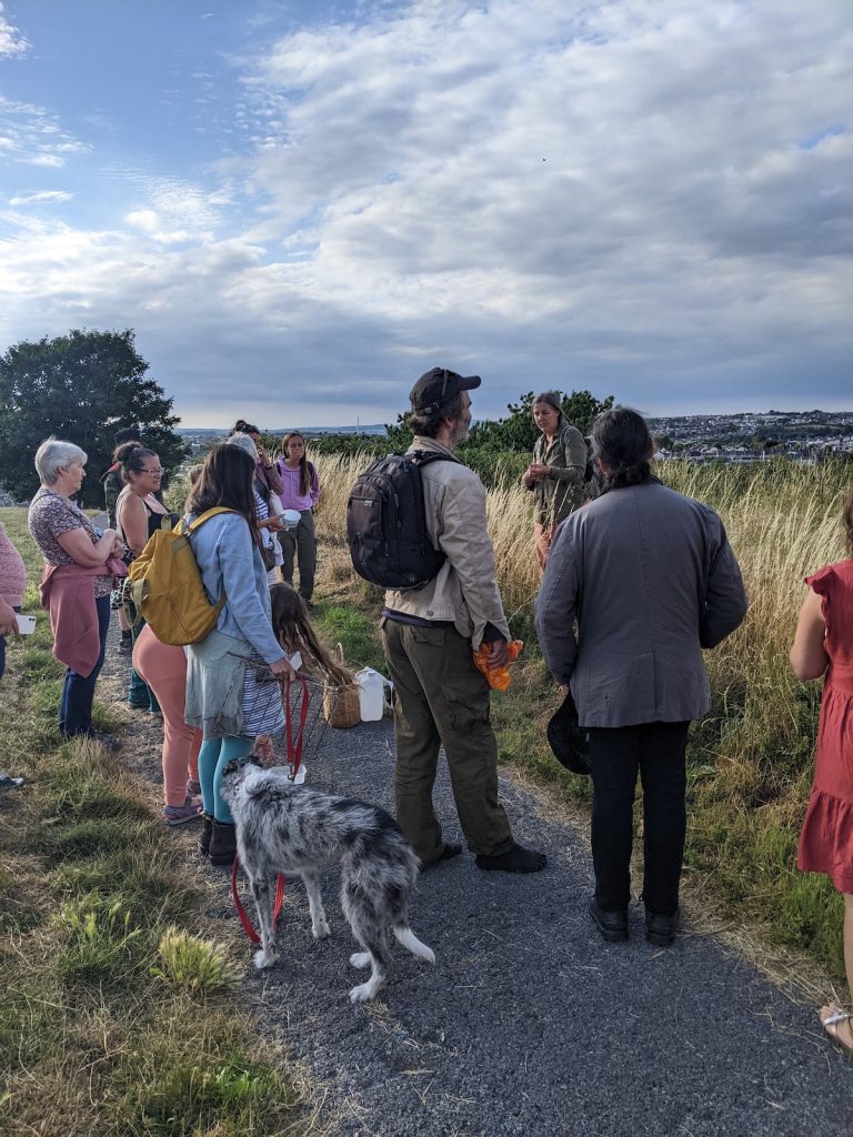 Sound Foraging Walk | The Village Hub