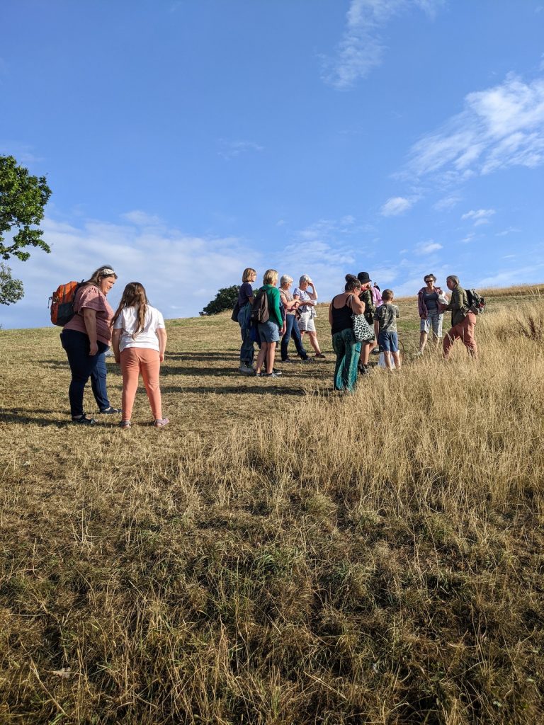 Sound Foraging Walk | The Village Hub